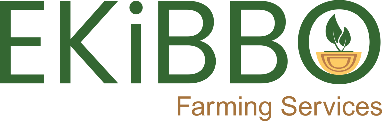 Ekibbo Farming Services – Building an eco-system in which farmers ...