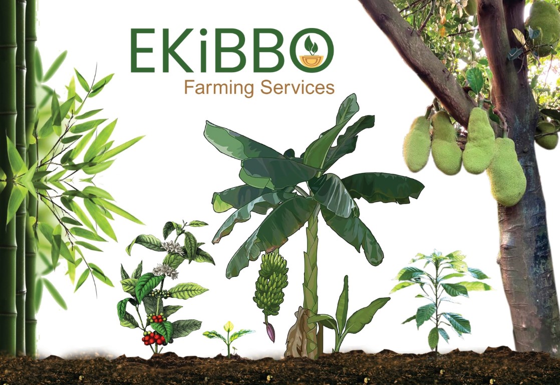 About Us – Ekibbo Farming Services