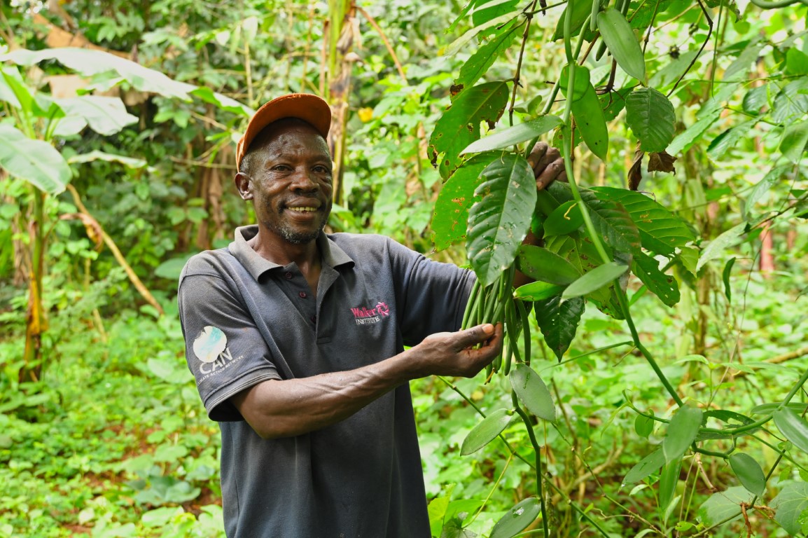 Ekibbo Farming Services – Building an eco-system in which farmers ...