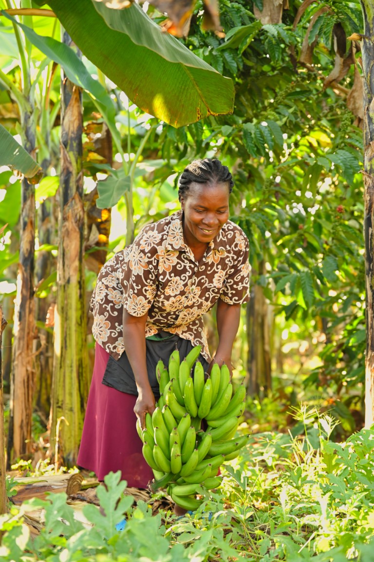 Ekibbo Farming Services – Building an eco-system in which farmers ...